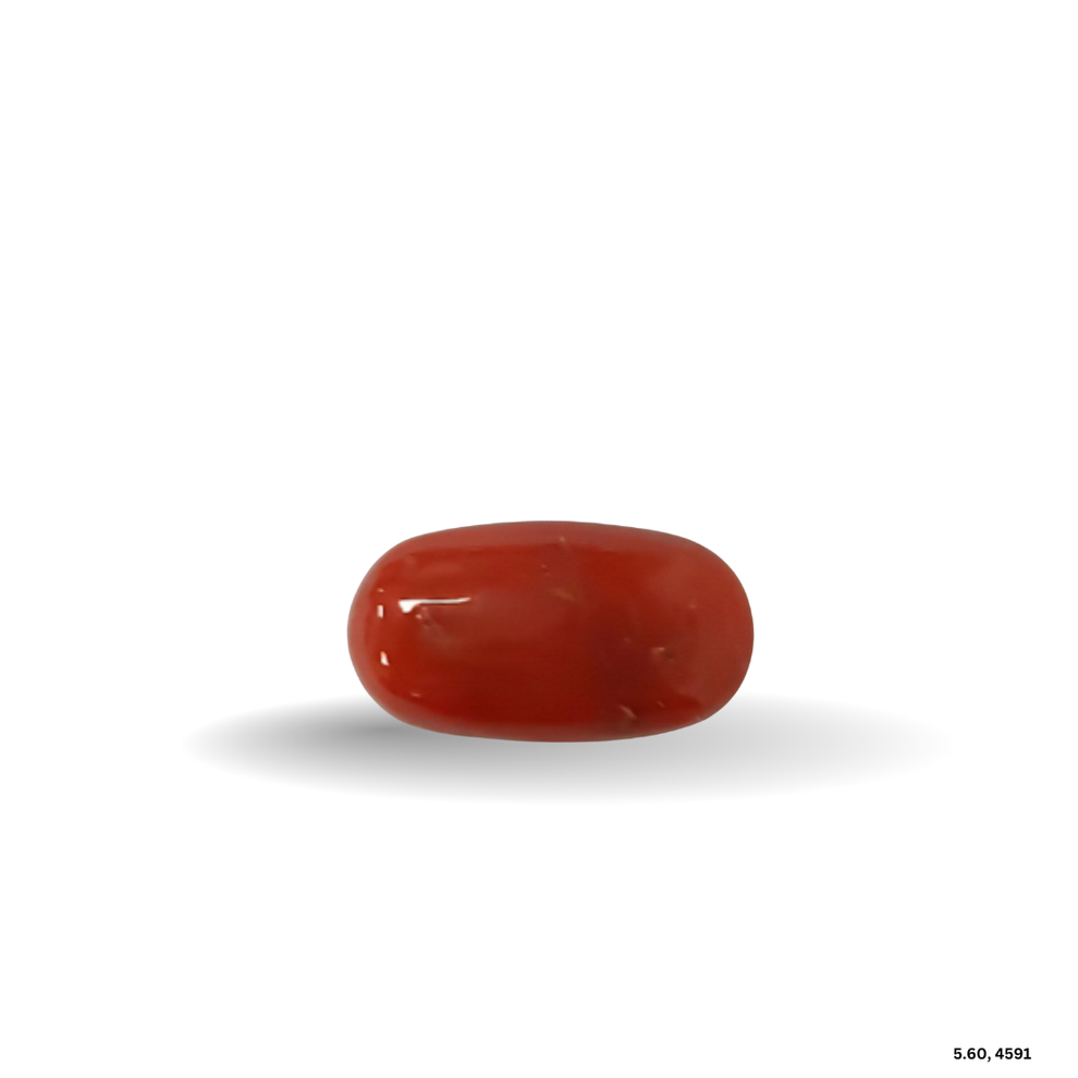 5.60 CARAT MOONGA (CAPSULE) – Pinnacle Vastu by Acharya Vikul Bansal